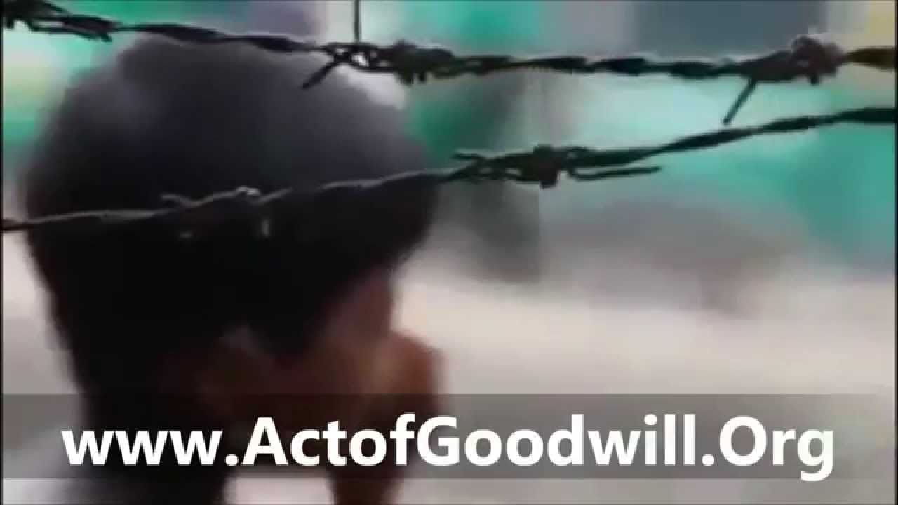 Feed The Hungry  - Act of Goodwill