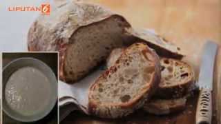 jamurfuzziblog: Jamur Pada Roti Basi