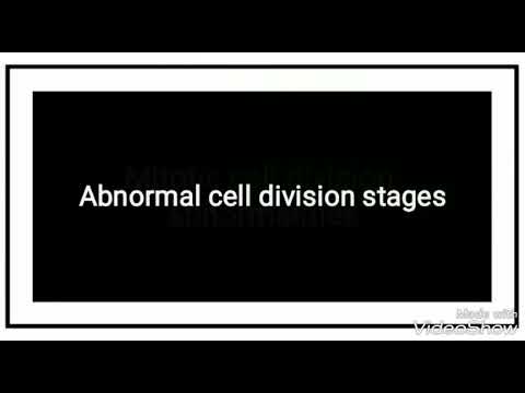 ABNORMAL CELL DIVISION STAGES