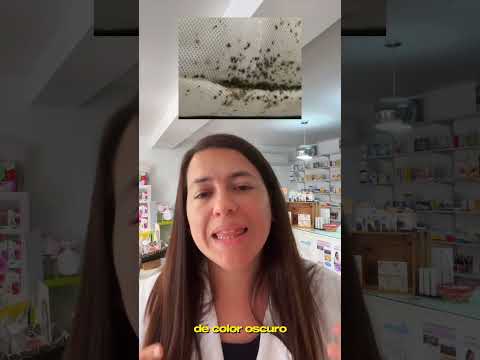 #chinches en #casa ¿cómo identificarlas? #sabiasque #curiosidades
