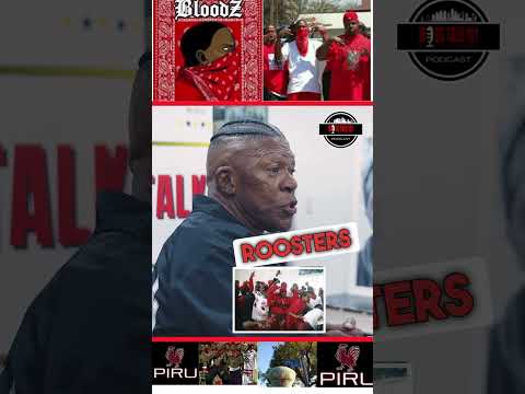 PIRU & BLOODS Are Not The Same OG PIRU SPEAKS! #shorts #bloods #piru #gangs