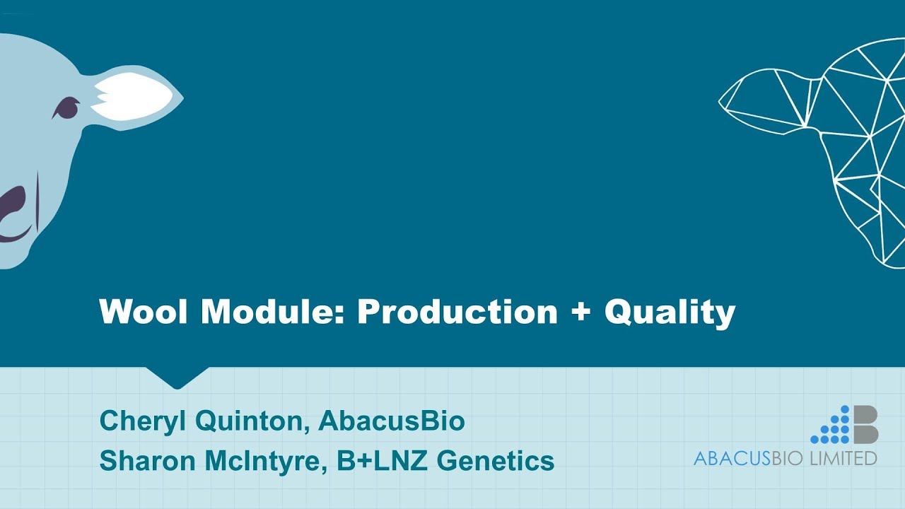 Wool Module: Production + Quality