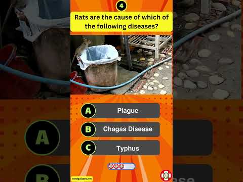 What Diseases Are Caused by Rats?