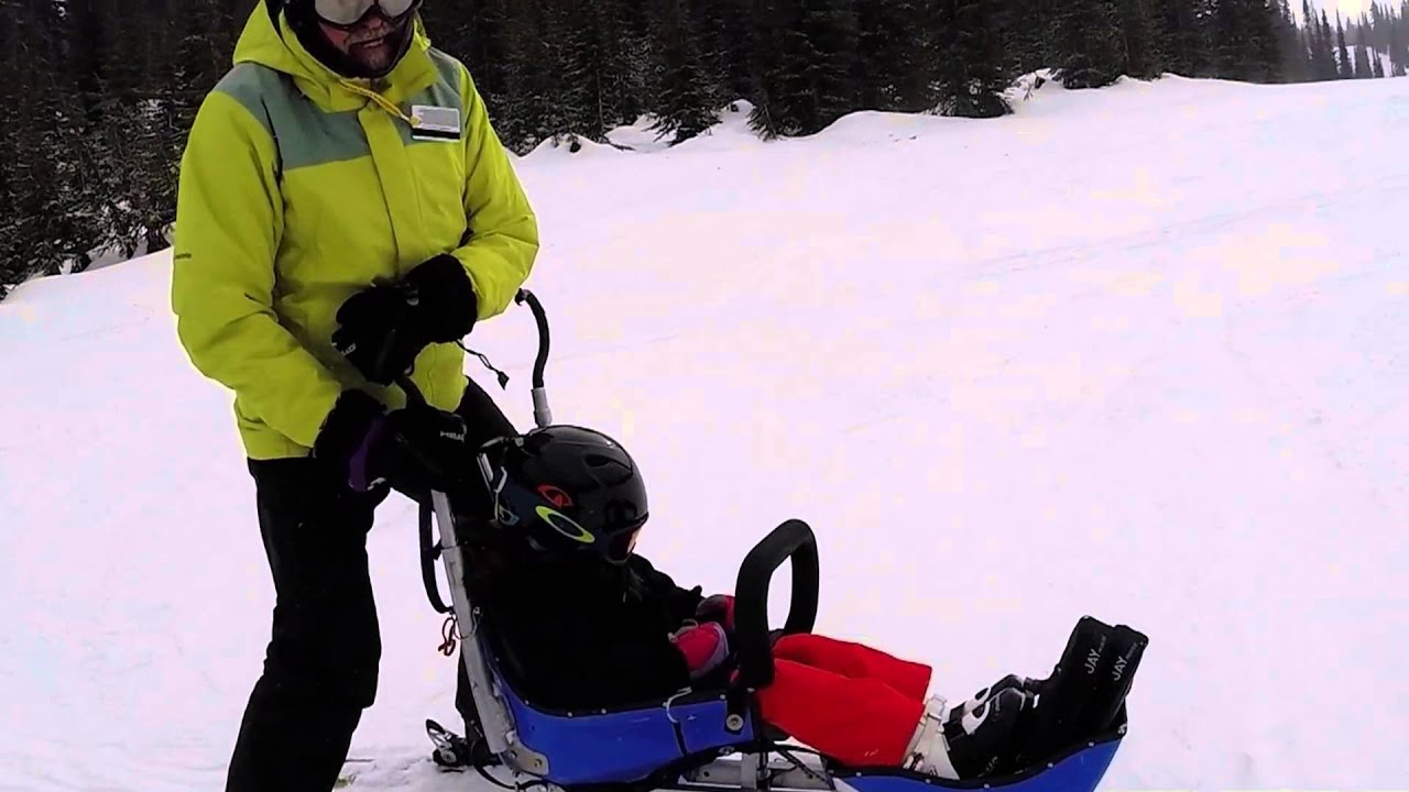 Sit Ski 2015 1