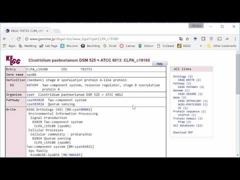 Find a nucleotide sequence in KEGG