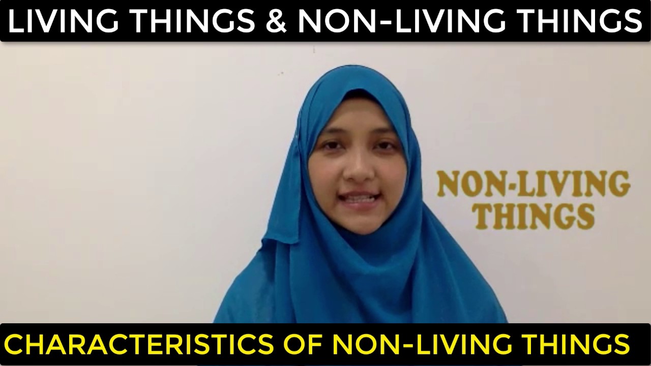 Primary 3 Science Living Things and Non-Living Things