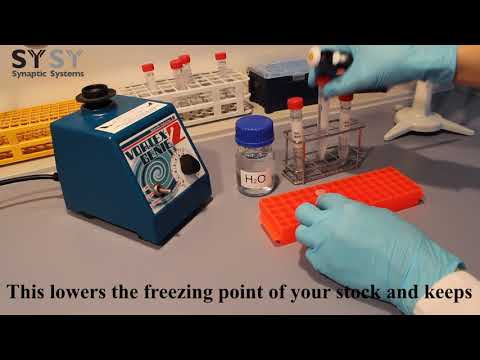 How do I properly reconstitute and store antibodies.