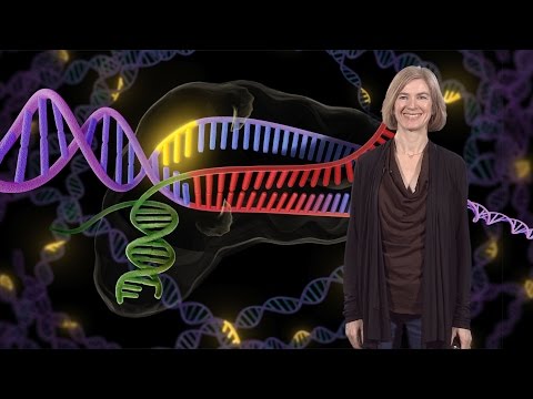 Jennifer Doudna (UC Berkeley / HHMI): Genome Engineering with CRISPR-Cas9