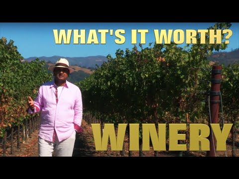 What's a Winery Worth | Bharat Kanodia | Ep. 13