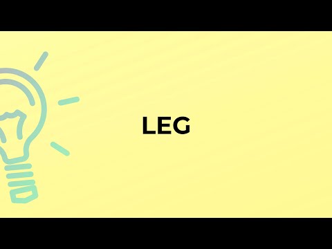 What is the meaning of the word LEG?