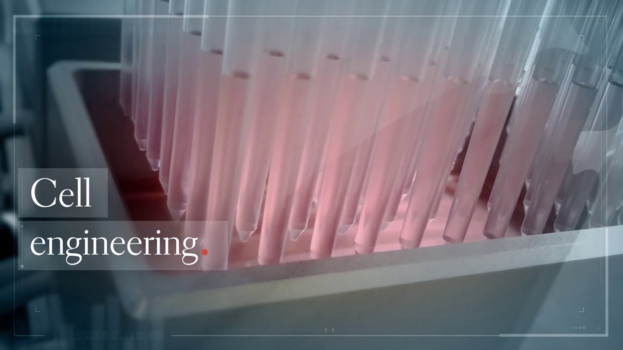 Cell engineering