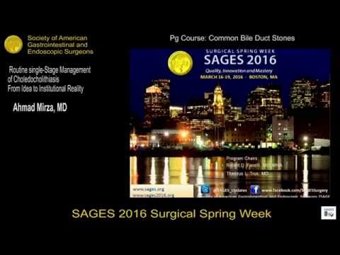 Routine Single-Stage Management of Choledocholithiasis - From Idea to Institutional Reality