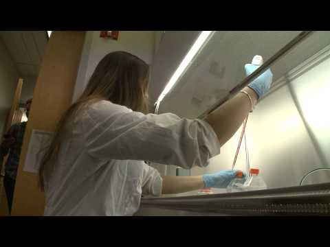 Cell and Molecular Biology at UNH