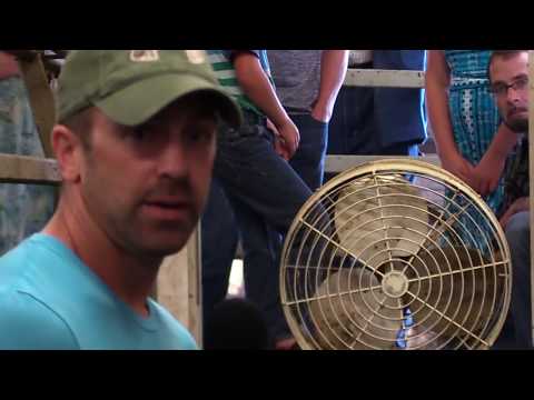 Grassway Farm - In the Milking Parlor