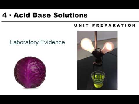 AP Ch4.0 Unit Preparation Lecture