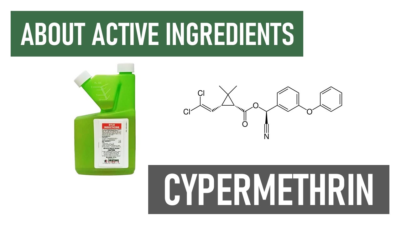Cypermethrin Information and Products | How Cypermethrin Works