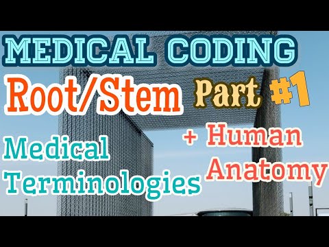 Medical Terminology_Stem/Root word in detail_Basic Human Anatomy_detail #medicalcoding #CPC #Nurses