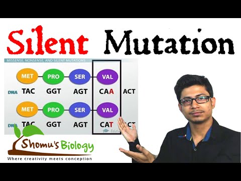 Silent mutation