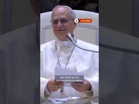 Pope Leo jokes with reporters at first media audience