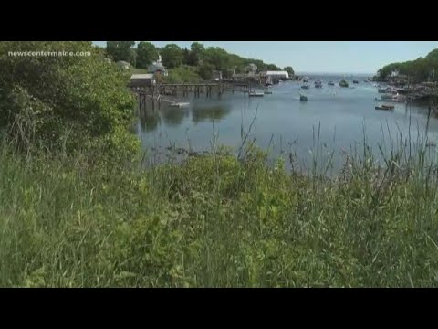 Bristol could be nation's 'nicest place'