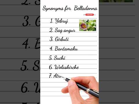 Synonyms for Belladonna | Crude drugs | Medi Queries 🎓