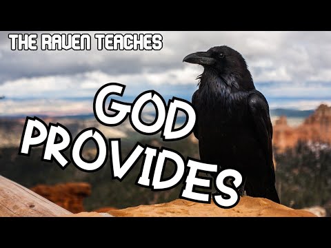 The Raven | Bible Lessons from Animals