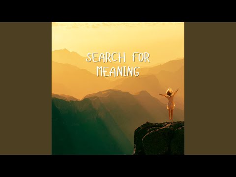 Search for Meaning