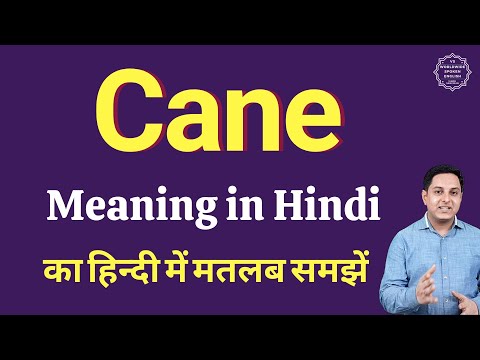 Cane meaning in Hindi | Cane ka kya matlab hota hai | online English speaking classes