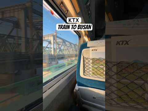 First Time Taking KTX Train To Busan | SOUTH KOREA TRAVEL #seoul #busan #southkoreatravel