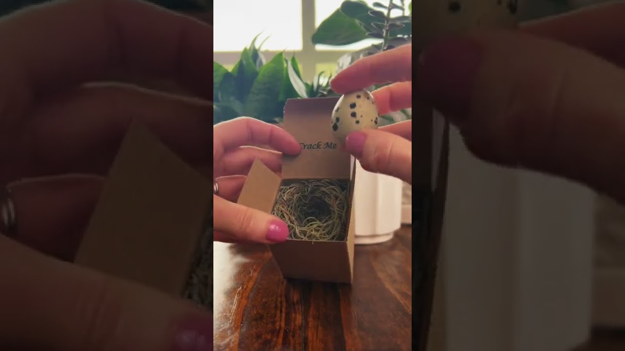 We’re Having a Baby - Pregnancy Announcement