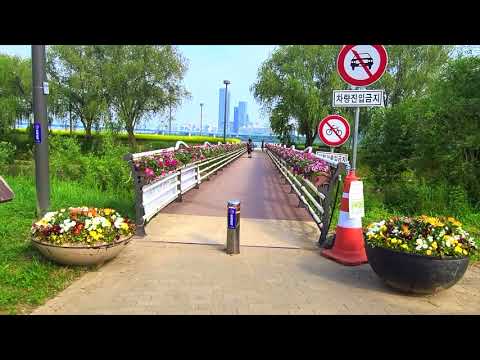 #WALKWITHME TO #FLOATINGISLAND #SEOUL (#SEBITSEOM) #4K AND #BANPO SOERAE ISLAND #RAPESEED FLOWERS