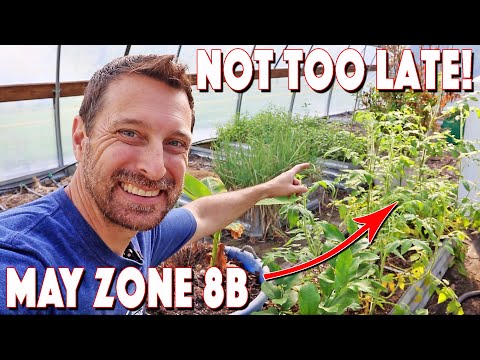 You're NOT Too Late! What To Plant In May Zone 8b Texas!