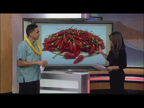 Aloha Authentic: Meaning, History of Nioi Place