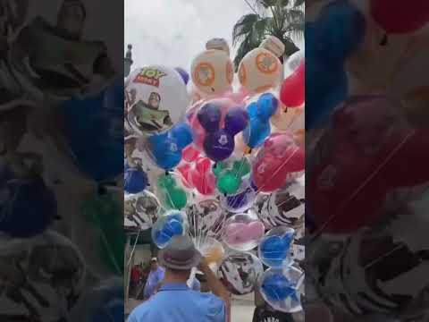 Kid Floats Away at Disney World holding Mickey Balloons