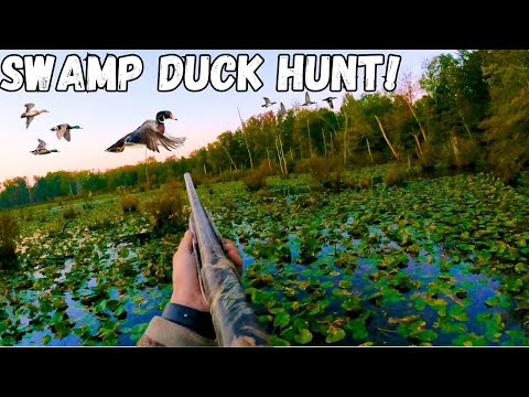 Duck Hunting a FLOODED SWAMP For MALLARDS and WOOD DUCKS! | Duck Hunting 2024!