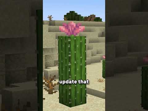 Mojang Officially Made The Desert The BEST Biome...