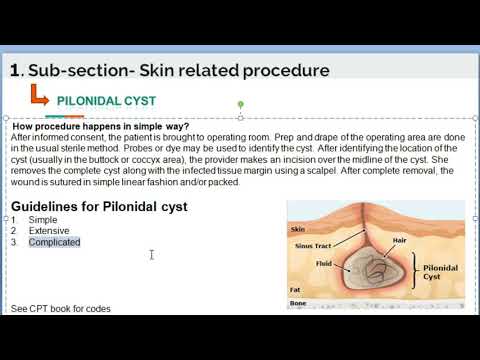 Integumentary system - Pilonidal cyst - Current Procedural Terminology