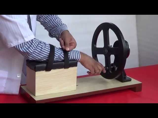 Shoulder, Arm & Hand Exercise units - Skate Roller for Elbow-Shoulder ...