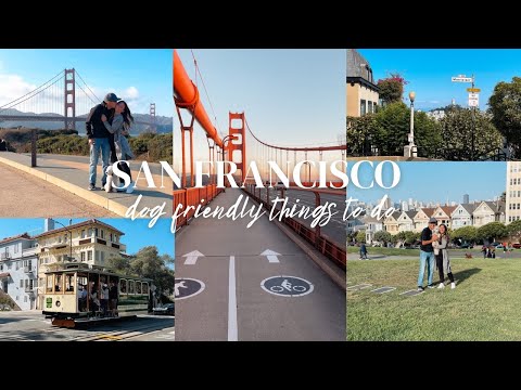 What to do in San Francisco with your dog