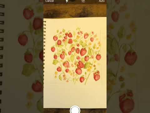 How to scan your artwork with just an iPhone #illustration #drawing #artist #tutorial #watercolor