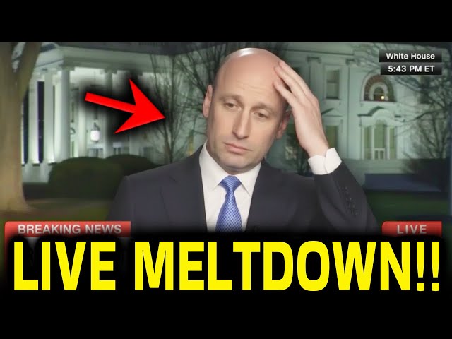 Stephen Miller's Explosive CNN Interview Highlights Controversial US ...