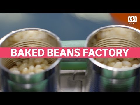 This is how your Baked Beans are made | Catalyst