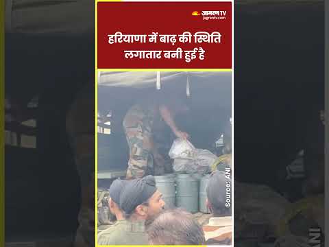 #haryana में बाढ़ की स्थिति लगातार बनी हुई है आर्मी, NDRF-SDRF ने संभाला मोर्चा #shorts