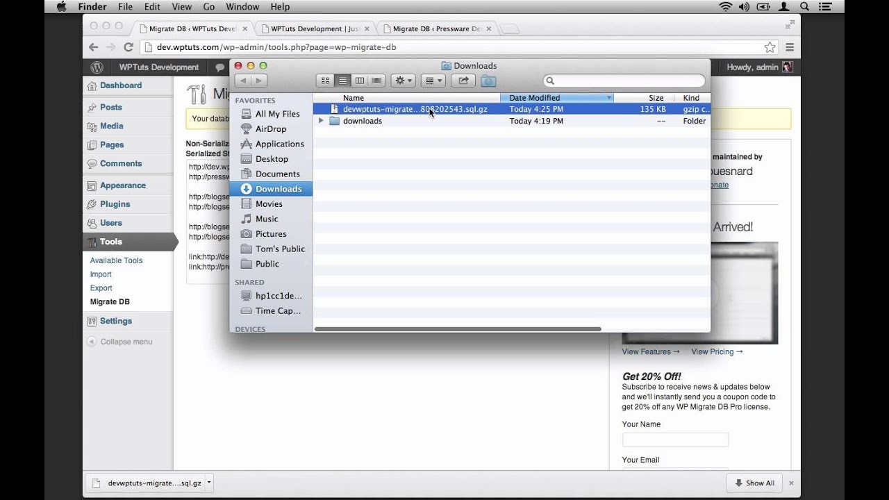 Migrating Your WordPress Database: WP Migrate DB - Development to Production
