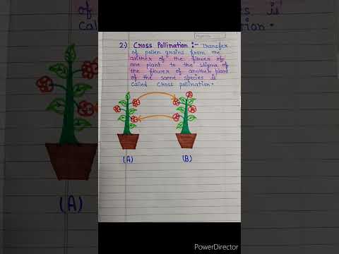 what is pollination | types of pollination | pollination and types