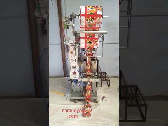 Pouch Packaging Machine - Pouch Packing Machine Manufacturer from Noida