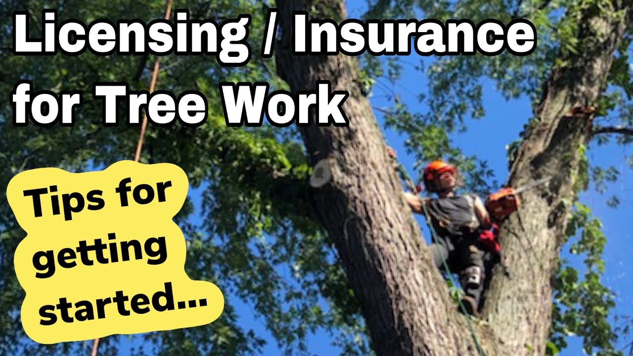 An Intro to Licensing / Insurance For Your Tree Service Business