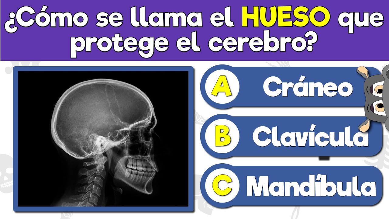50 Questions About the Skeletal System 🦴 | Biology Trivia