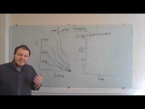 Lecture 21 Part 1: Labor Supply