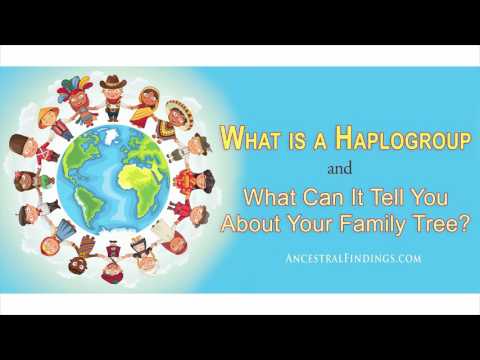 AF-071: What is a Haplogroup and What Can It Tell You About Your Family Tree? | Ancestral Findings